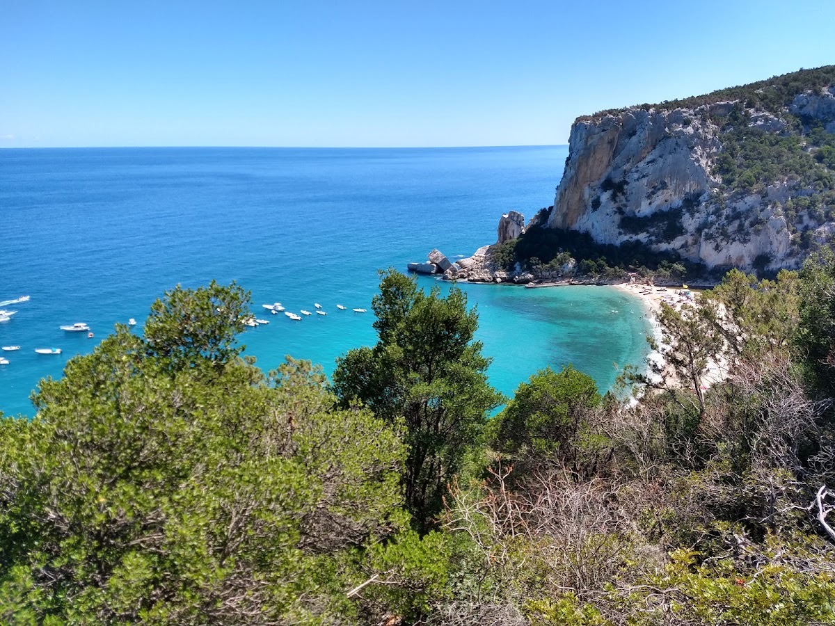 Caletta di Oddoana: una meraviglia nel territorio di Dorgali - Flamar